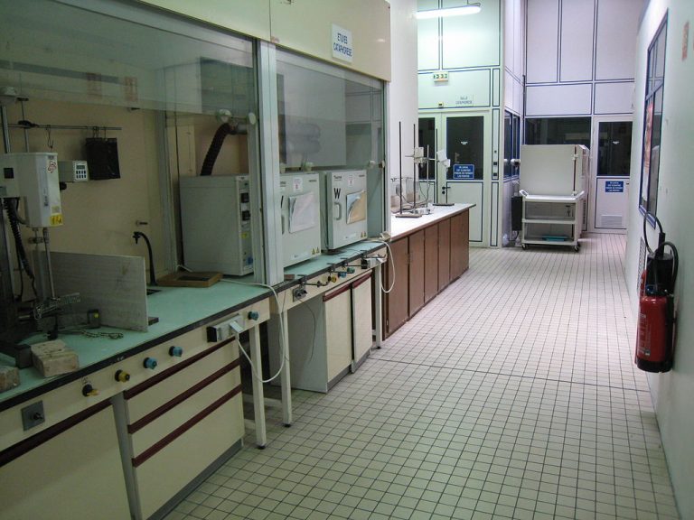 Lab Ovens Buying Guide: Find the Perfect Fit for Your Needs - Despatch