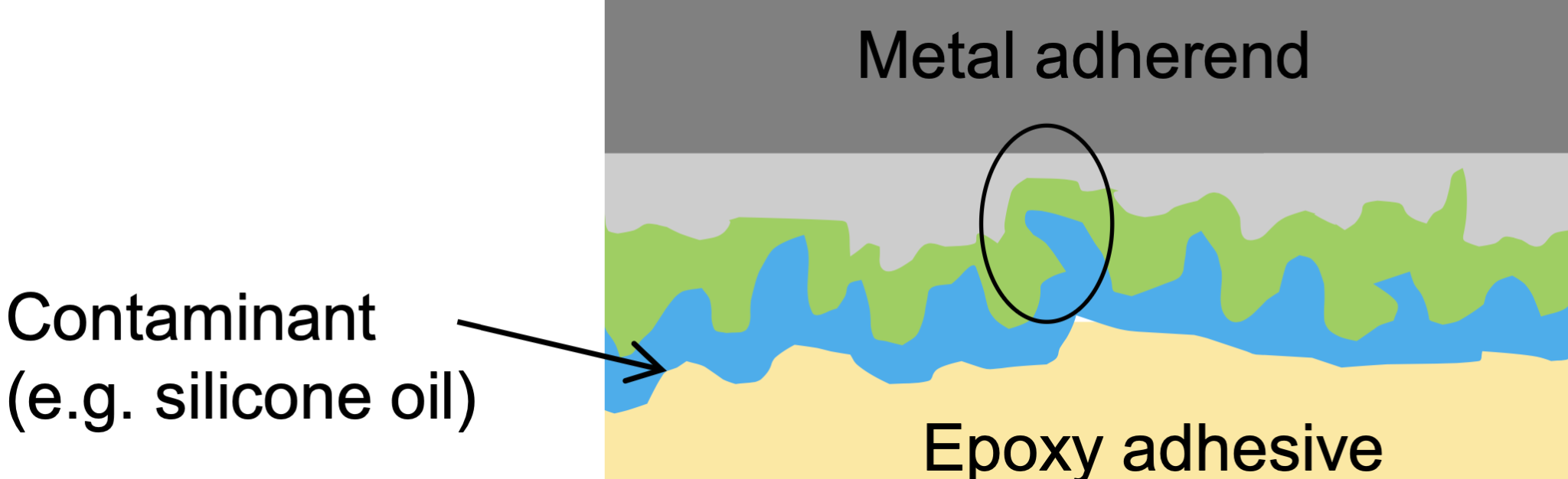 How Silicone-Free Industrial Ovens Prevent Contamination in Cleanroom ...