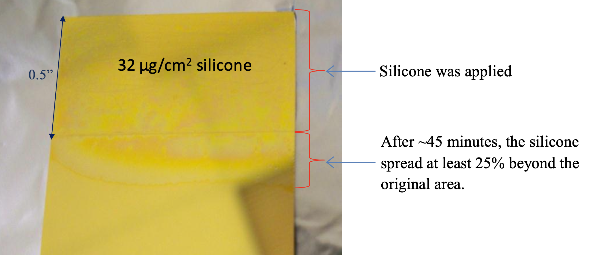 How Silicone-Free Industrial Ovens Prevent Contamination in Cleanroom ...
